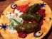 Stuffed Grape Leaves (Dolmathakia) – Our Wild Savory Kitchen