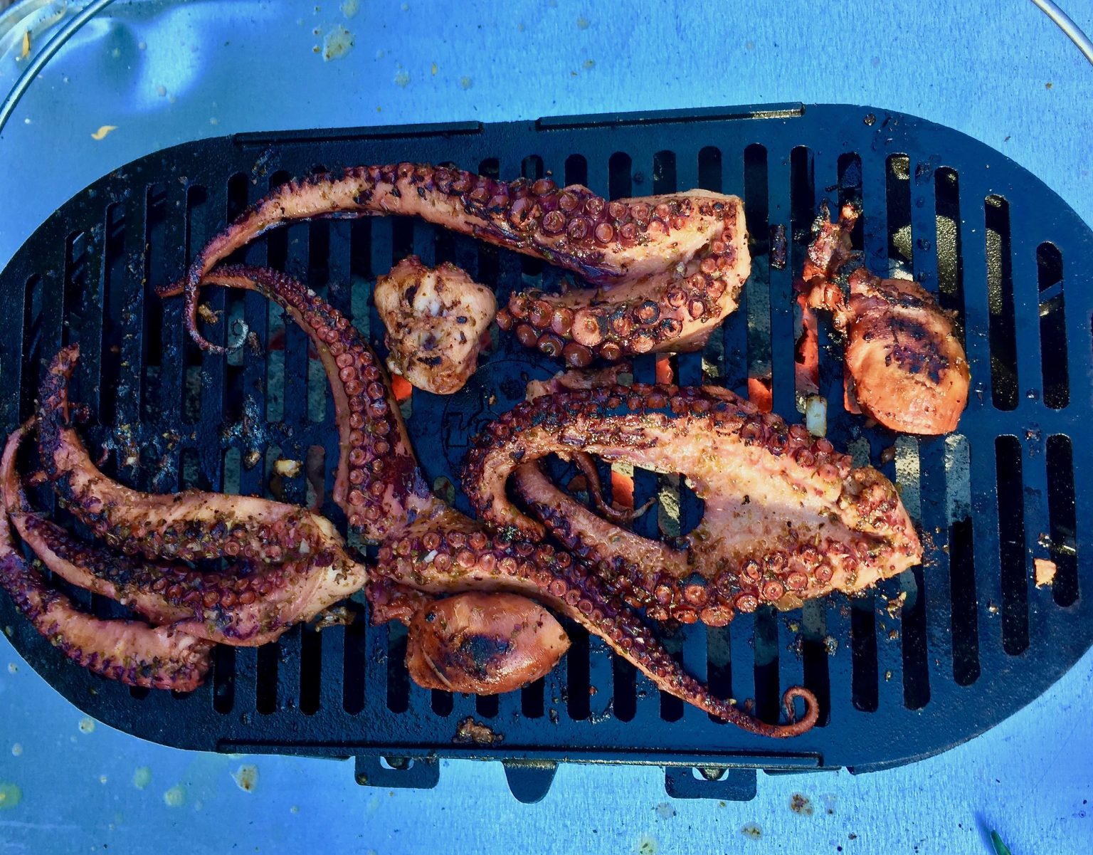 Our Wild Savory Kitchen – Classic Dishes From Around the World